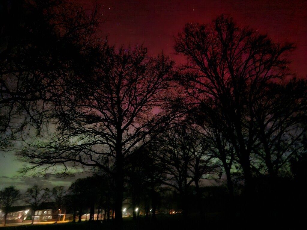 Noorderlicht (9) Onder de indruk | DalfsenNet