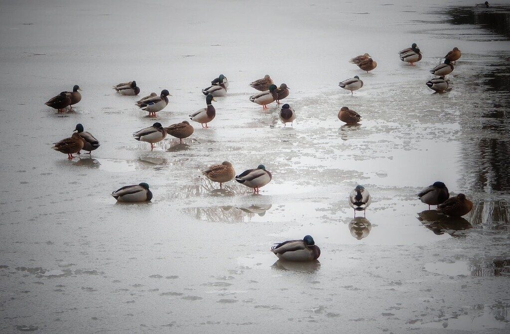 Dure bril kwijt: Hulsterplas | DalfsenNet
