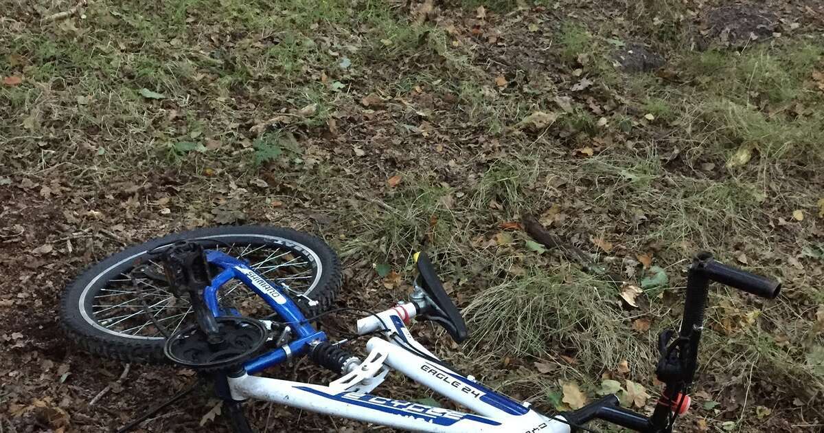 Fiets gevonden, blauw-wit maar is nu weg! | DalfsenNet
