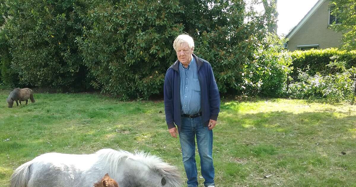 Blij verrast: wel beschuit met muisjes in Oudleusen | DalfsenNet
