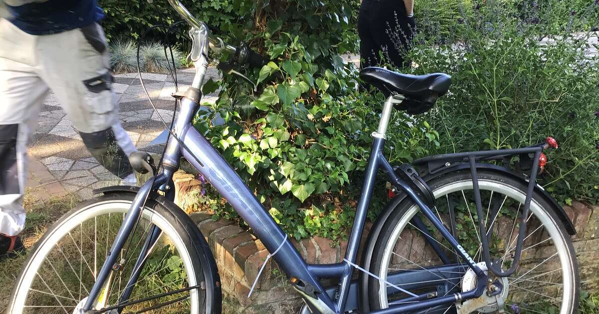 Fiets gevonden | DalfsenNet
