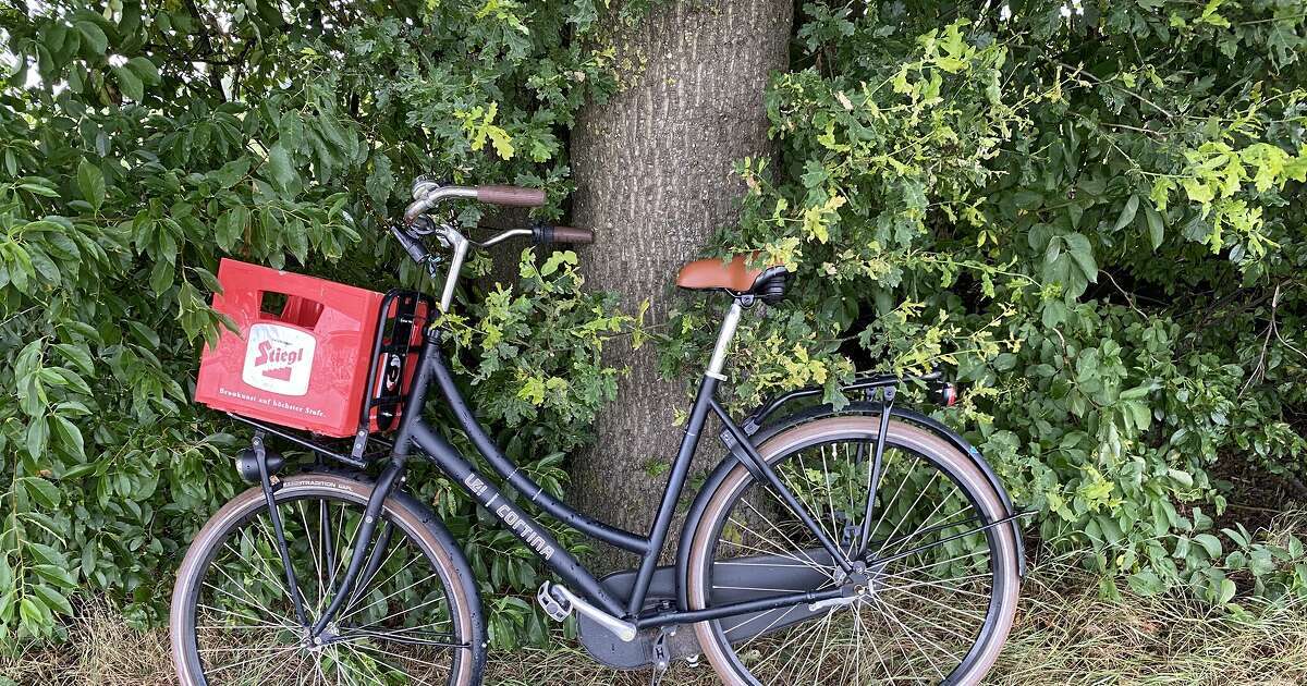 Gevonden fiets | DalfsenNet
